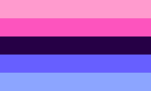 Omni Flag & Omnisexuality Flag Meaning - Evolve